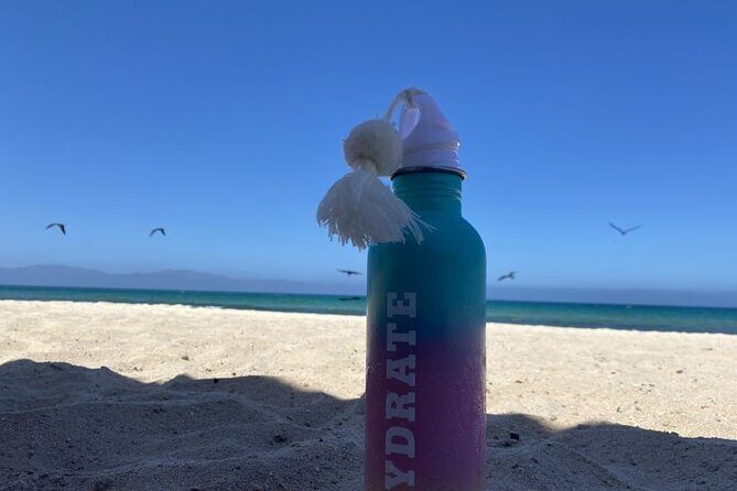 La Paz El Triunfo and La Ventana Day Trip with Lunch - What’s Included and What You Should Know