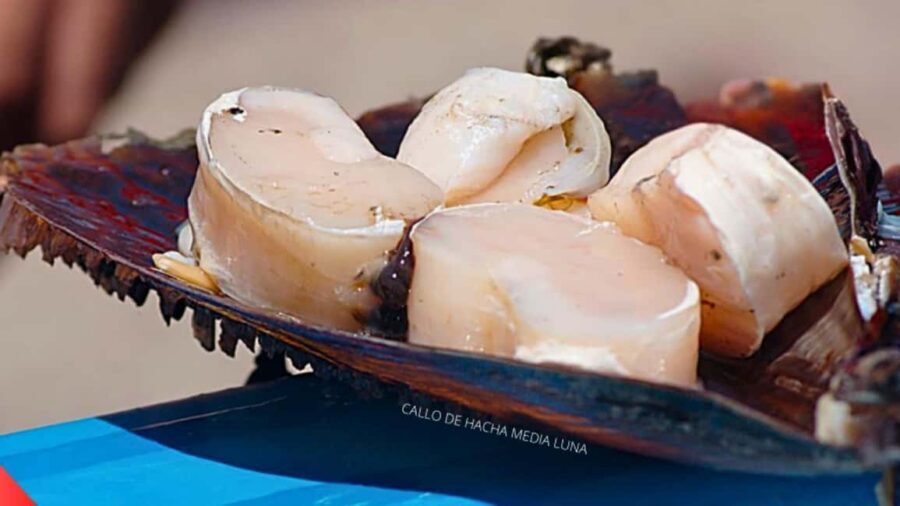 La Paz: Mangrove Adventure, Snorkeling and Shellfish Tasting - The Itinerary Breakdown