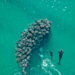 La Paz or La Ventana: Ocean Safari - The Itinerary Breakdown