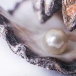 La Paz: Pearl Farm Experience and shop - Why This Tour Stands Out