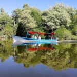 Lagoon Adventure: Jungle, Turtle Release & Cliff Diving Spectacle - Why This Tour Works