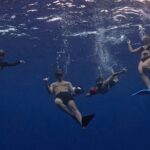 Lagoon and Marine Wildlife Tour in Moorea - Final Thoughts: Why Choose This Tour?
