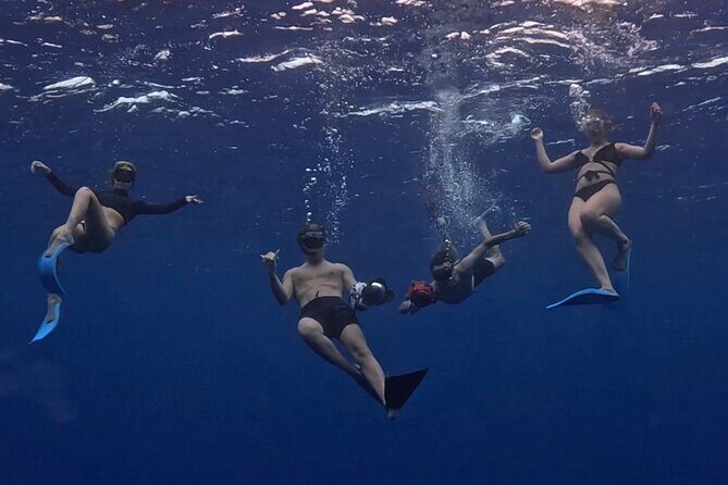 Lagoon and Marine Wildlife Tour in Moorea - Final Thoughts: Why Choose This Tour?