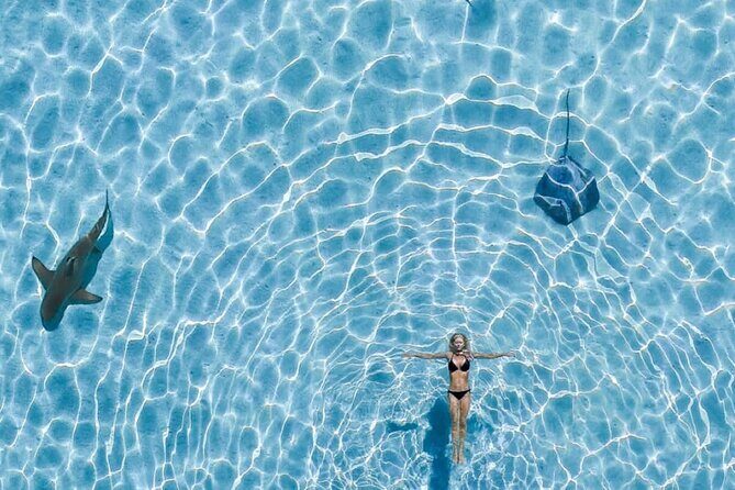 Lagoon and Wildlife Discovery on a Private Boat in Moorea - FAQ