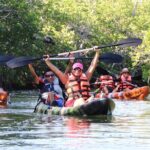 Lagoon Mangrove Tour, Kayaking and Sightseeing from Cancun - Who Should Consider This Tour?