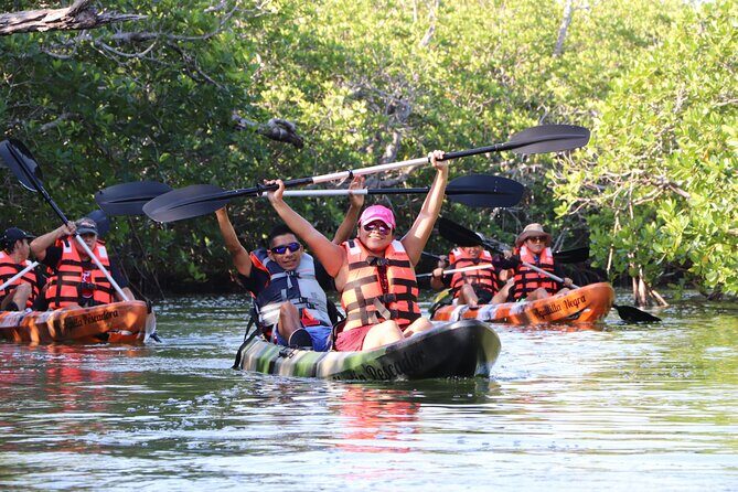 Lagoon Mangrove Tour, Kayaking and Sightseeing from Cancun - Who Should Consider This Tour?