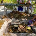 Lagoon Snorkeling Tour with Tahitian Oven Lunch in Bora Bora - Why This Tour Might Be Perfect for You