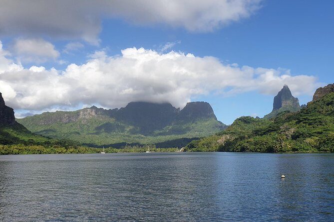 Lagoon Tour - Discover the magnificent lagoon of Moorea - The Experience: What Sets This Tour Apart