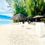 Lagoon Tour + lunch with your feet in the water on a Motu - What to Expect from the Experience