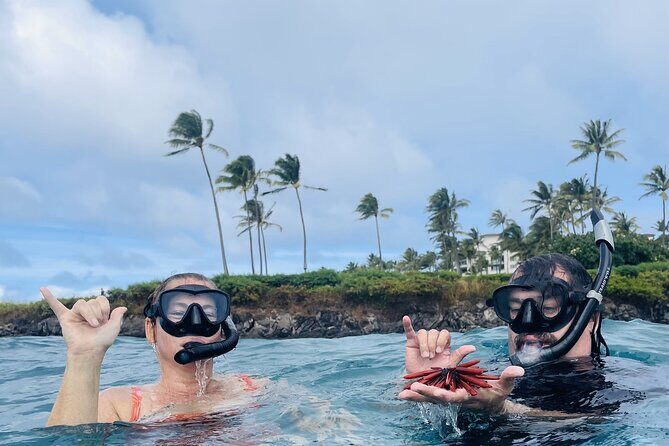 Lahaina Reef Snorkeling Adventure in Maui - How Does This Tour Compare to Others?