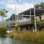 Lake Barrine Boat Cruise  Discover Queenslands Hidden Gem - Post-Cruise at Lake Barrine
