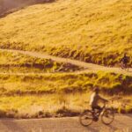 Lake Dunstan E Bike Trail Adventure - The Sum Up