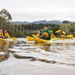 Lake Karapiro: Evening Kayak Glowworm Tour - The Magic of Glowworms: The Highlight of the Tour