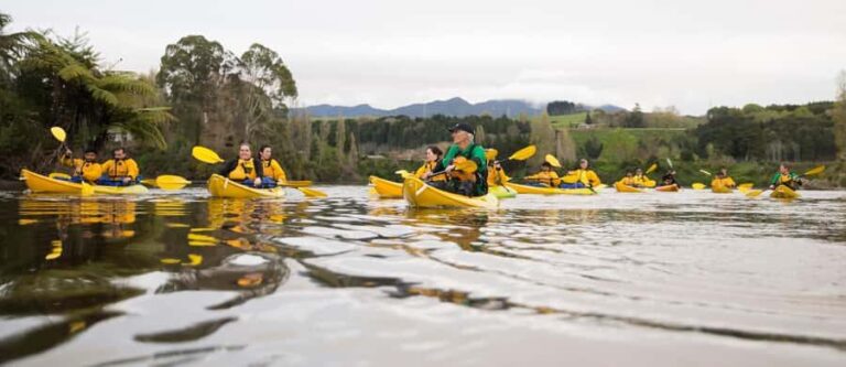 Lake Karapiro: Evening Kayak Glowworm Tour - The Magic of Glowworms: The Highlight of the Tour