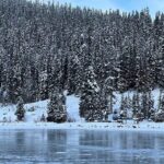 Lake Louise, Moraine Lake, Peyto Lake, Crowfoot Tour from Calgary - Practicalities and Value