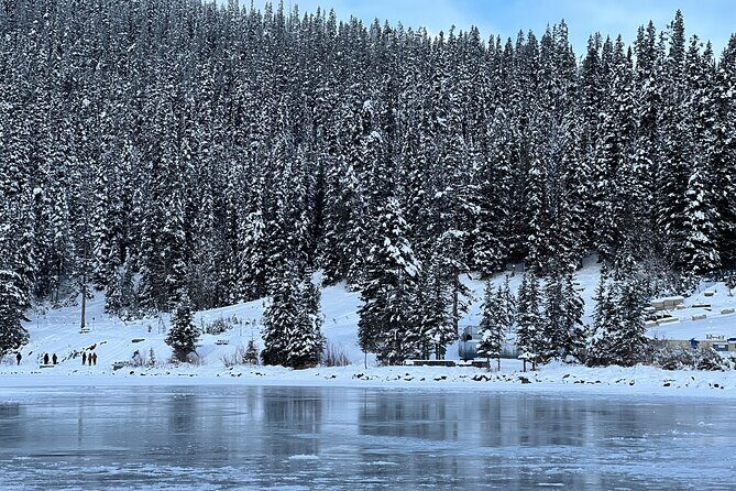 Lake Louise, Moraine Lake, Peyto Lake, Crowfoot Tour from Calgary - Practicalities and Value