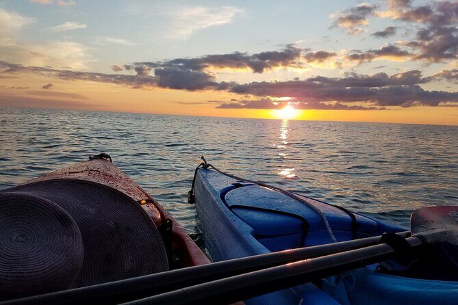 Lake Osborne Gator Watch Tour - What Reviewers Say