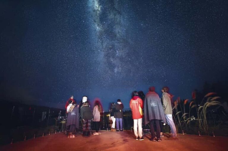 Lake Tekapo: 1.5-Hour Hot Pools & Stargazing Experience - A Deep Dive into the Experience