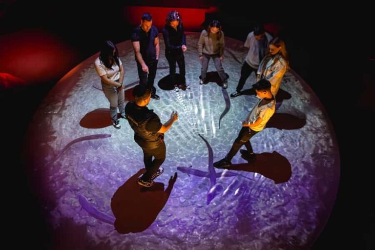 Lake Tekapo: Indoor Mori Cultural Astronomy Experience - The Experience Itinerary and Atmosphere