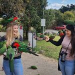 Lamington National Park, O'Reilly's & Vineyard Tour - Practical Details and Tips
