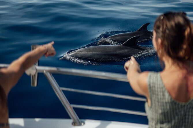 Lana'i Snorkel And Dolphin Quest with Maui Turtle Spot Tour - A Complete Look at the Lanai Snorkel and Dolphin Tour