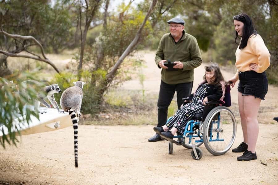 Land of the Lemurs Experience & a Day at Monarto Safari Park - The Experience Itself: What to Expect