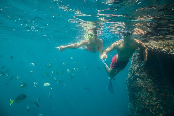 Land's End & Snorkel Tour in a Glass Bottom Boat (VisitA Cabo) - The Guide and Experience Quality