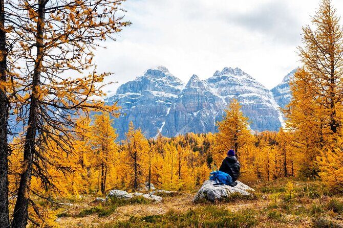 Larch Valley/Moraine Lake Shuttle Transfer from Banff and Canmore - In-Depth Look at the Itinerary