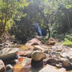 Largest zipline/Cave & Biausevu waterfall Discovery tour - Why This Tour Works