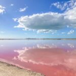 Las Coloradas and Ría Lagartos - Exploring the Itinerary: What Makes This Tour Stand Out