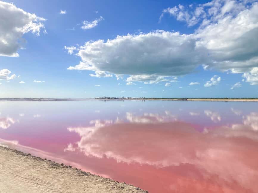 Las Coloradas and Ría Lagartos - Exploring the Itinerary: What Makes This Tour Stand Out