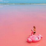 Las Coloradas and Rio Lagartos Tour with All Inclusive - Who Is This Tour Best For?