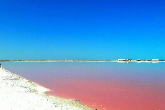 Las Coloradas Natural Pink Lake Tour from Cancun & Riviera Maya - Transportation and Group Size