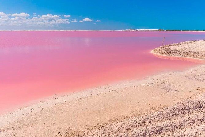 Las Coloradas & Rio Lagartos, Beautiful Eco Adventure from Tulum City - Exploring the Itinerary in Detail