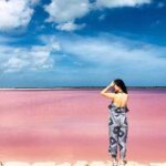 Las Coloradas & Rio Lagartos Tour from Cancún - Reviews in Context: What Travelers Say
