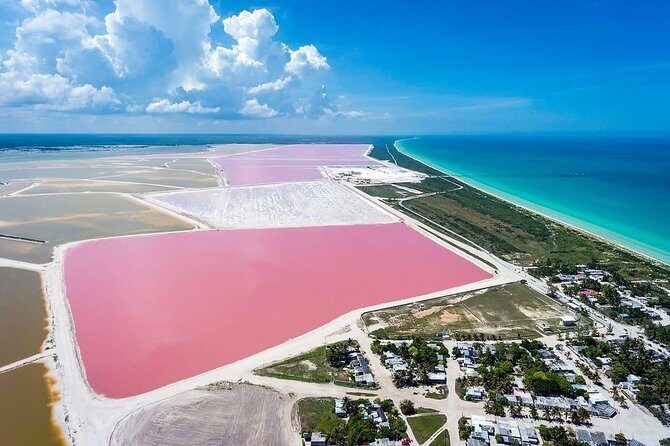 Las Coloradas Tour! Boat Ride, Lunch & Rio Lagartos from Cancun - First Stop: The Pink Lakes at Las Coloradas