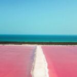Las Coloradas Tour from Cancun and Playa del Carmen - Who Should Consider This Tour?