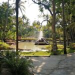 Las Estacas River, Tepoztlan & Adventure Tour from Mexico City - Who Will Love This Tour?