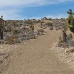 Las Vegas ATV Tours - The Experience of the Ride