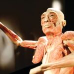 Las Vegas: BODIES | The Exhibition at the Luxor - Location and Accessibility
