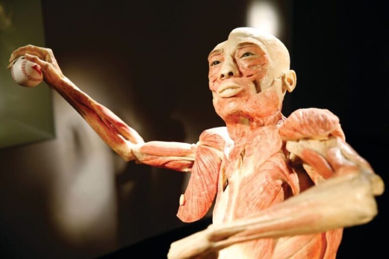 Las Vegas: BODIES | The Exhibition at the Luxor - Location and Accessibility