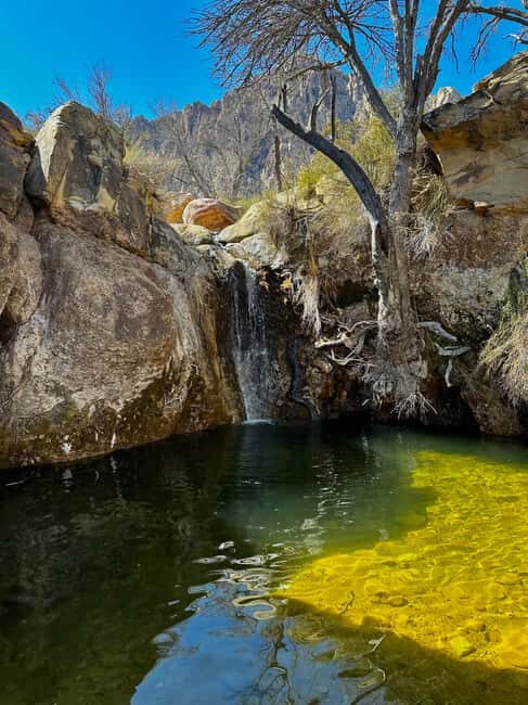 Las Vegas: Family Friendly Guided Hike to Emerald Falls - What’s Included and What to Bring