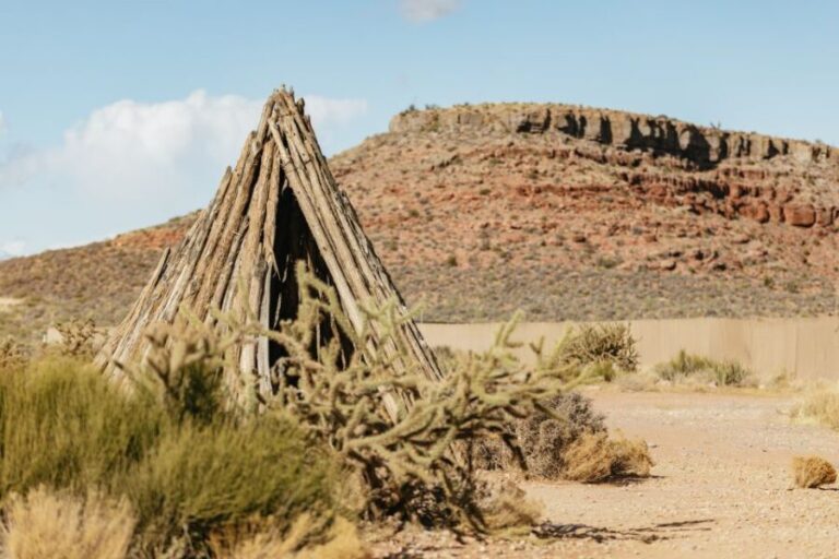 Las Vegas: Grand Canyon West Rim VIP Luxury Small Group Tour - What Could Be Improved or Considered