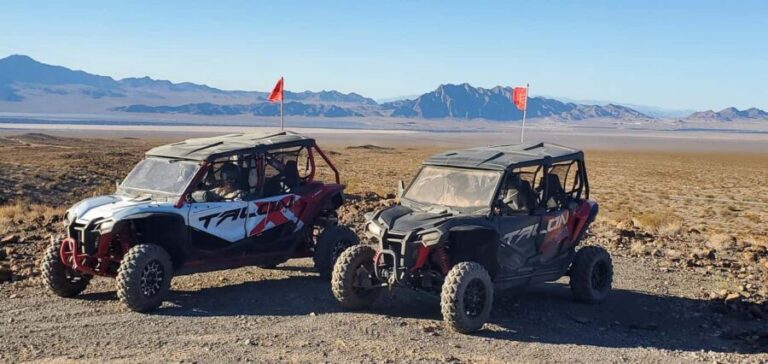 Las Vegas: Guided Las Vegas Desert Buggy Tour - The Itinerary Breakdown