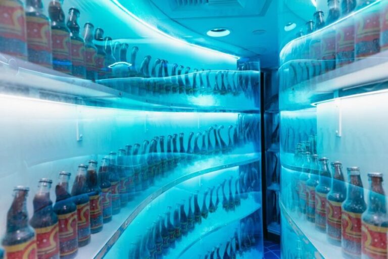 Las Vegas: Meow Wolf Omega Mart Ticket - What to Expect at Omega Mart