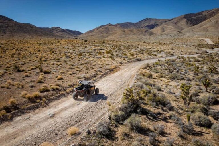 Las Vegas Mojave Off Road Adventure |Guided Tour-Let's Ride! - The Vehicles & Tech Features: Comfort and Safety First