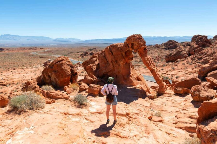 Las Vegas: Valley of Fire State Park Guided Tour - Who Should Consider This Tour?