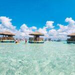 Last Chance TAILFINS TIKIS 2 Hour Crab Island Tiki Tour - Final Thoughts