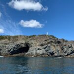 Late Season Puffin & Scenic Coastal Cruise - An In-Depth Look at the Coastal & Puffin Cruise Experience
