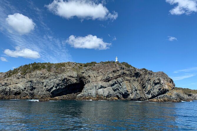 Late Season Puffin & Scenic Coastal Cruise - An In-Depth Look at the Coastal & Puffin Cruise Experience